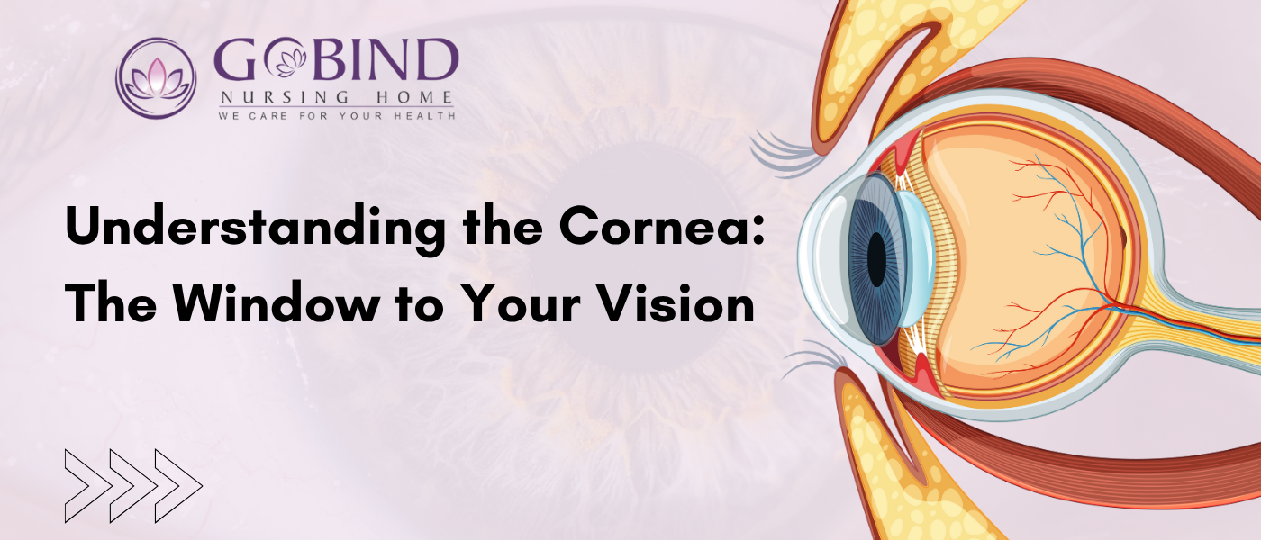 Understanding the Cornea: The Window to Your Vision